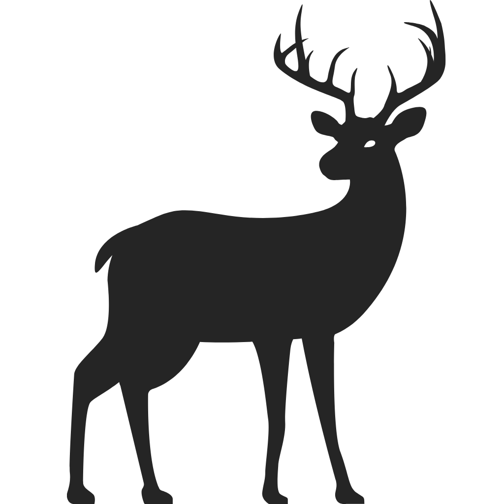 Renjer Wild Jerky - The Taste of your Adventure – Renjer Snacks